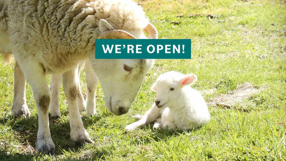 Plimoth Patuxet Museums | Home