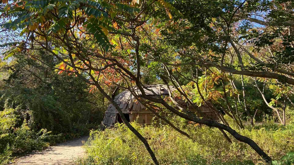 Plimoth Patuxet Museums | Home