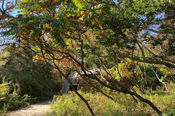 Plimoth Patuxet Museums | Home
