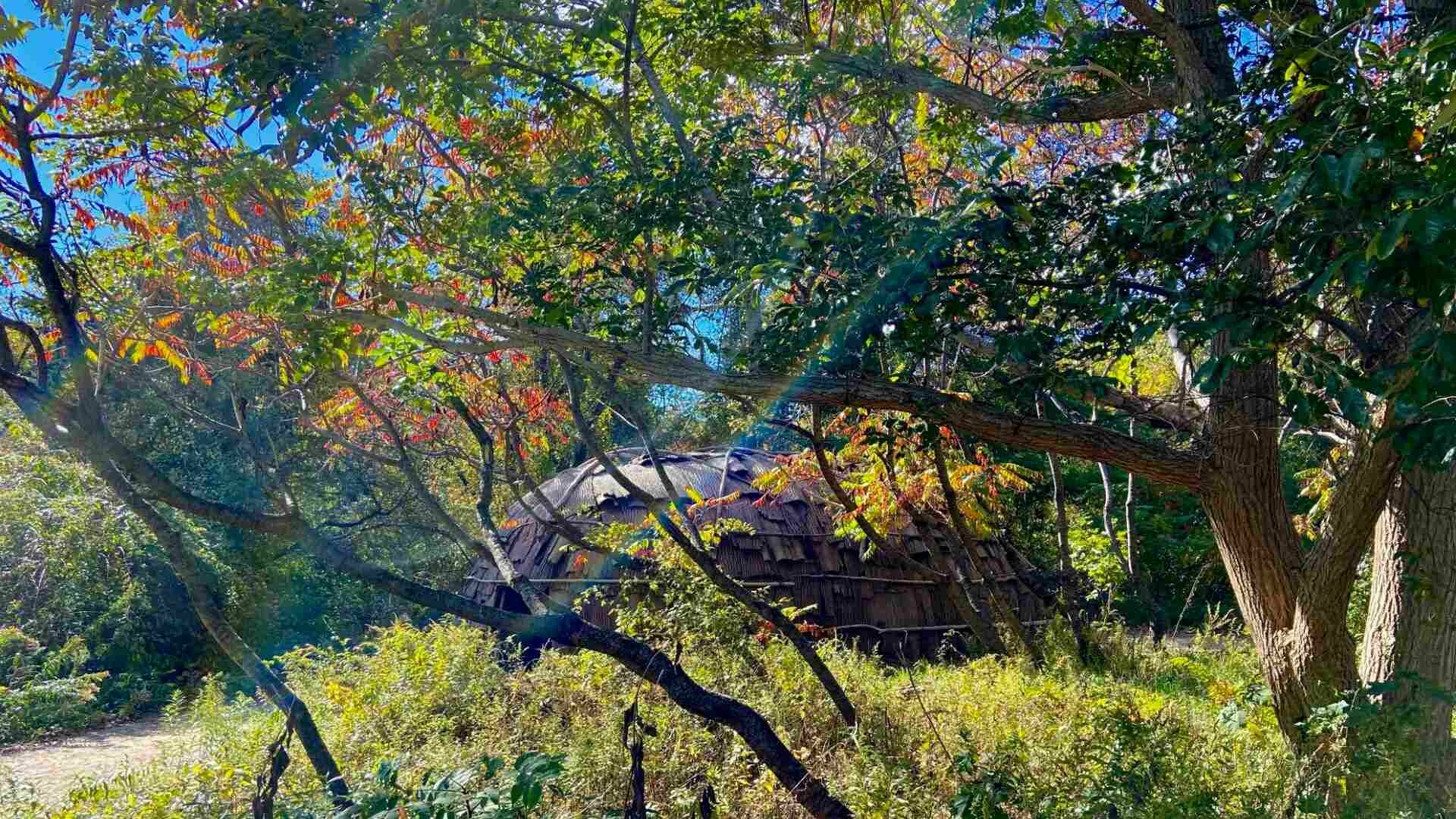 Plimoth Patuxet Museums | Home