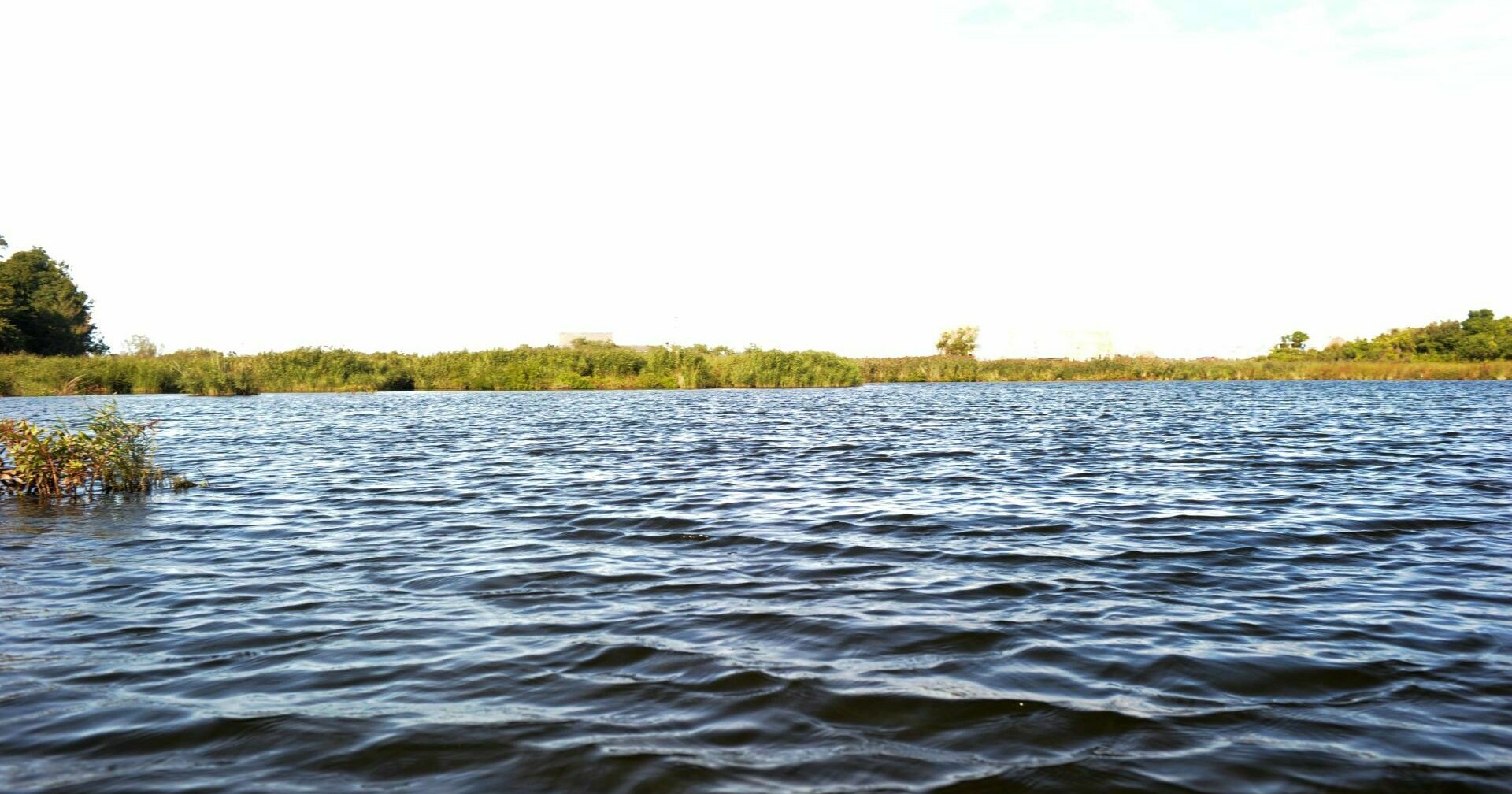 Plimoth Patuxet Museums | Eel River Farm Site