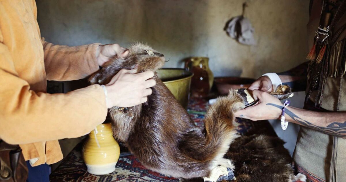 Plimoth Patuxet Museums | Presenting the Story of Two Cultures